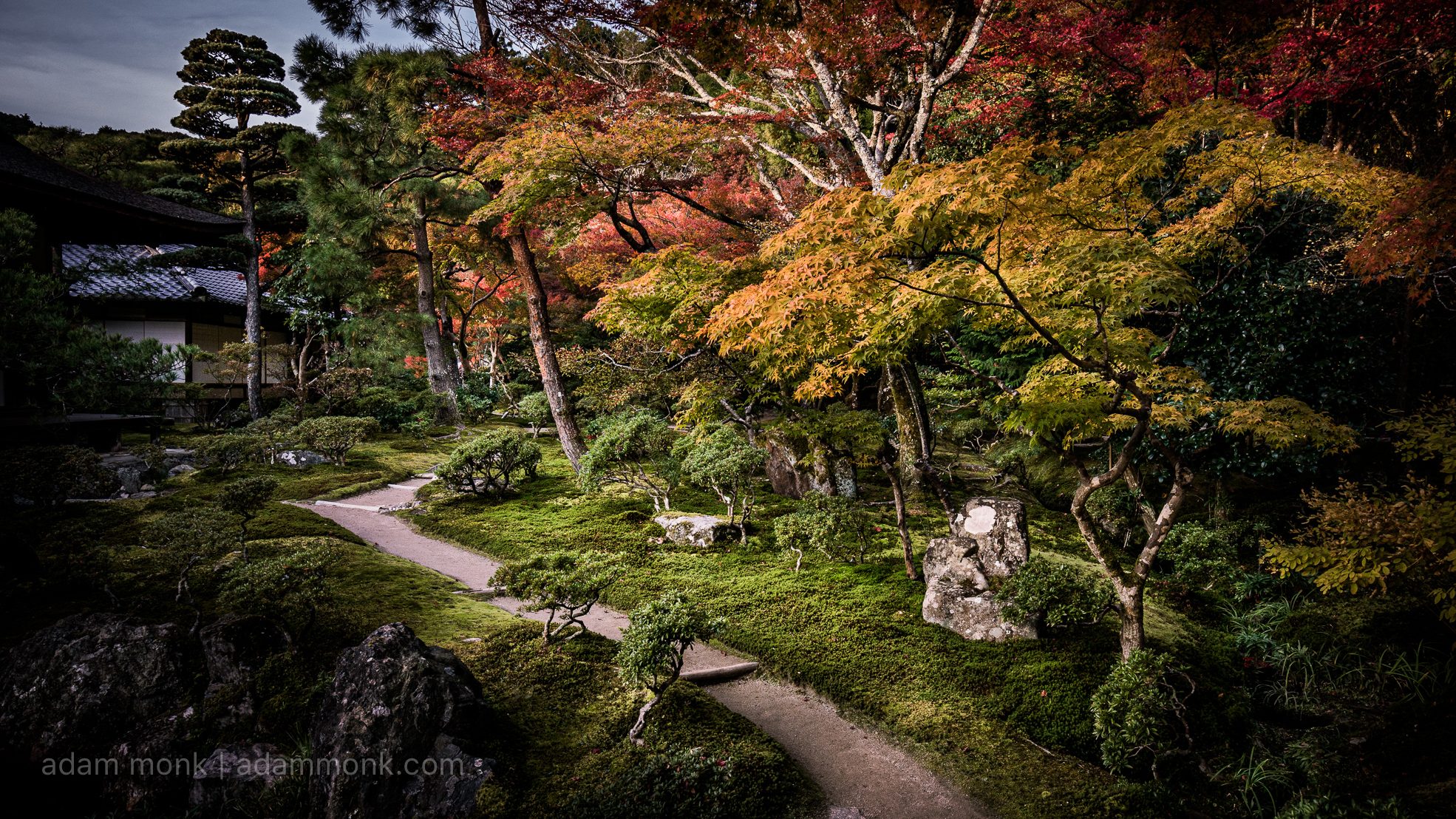Photography Tours